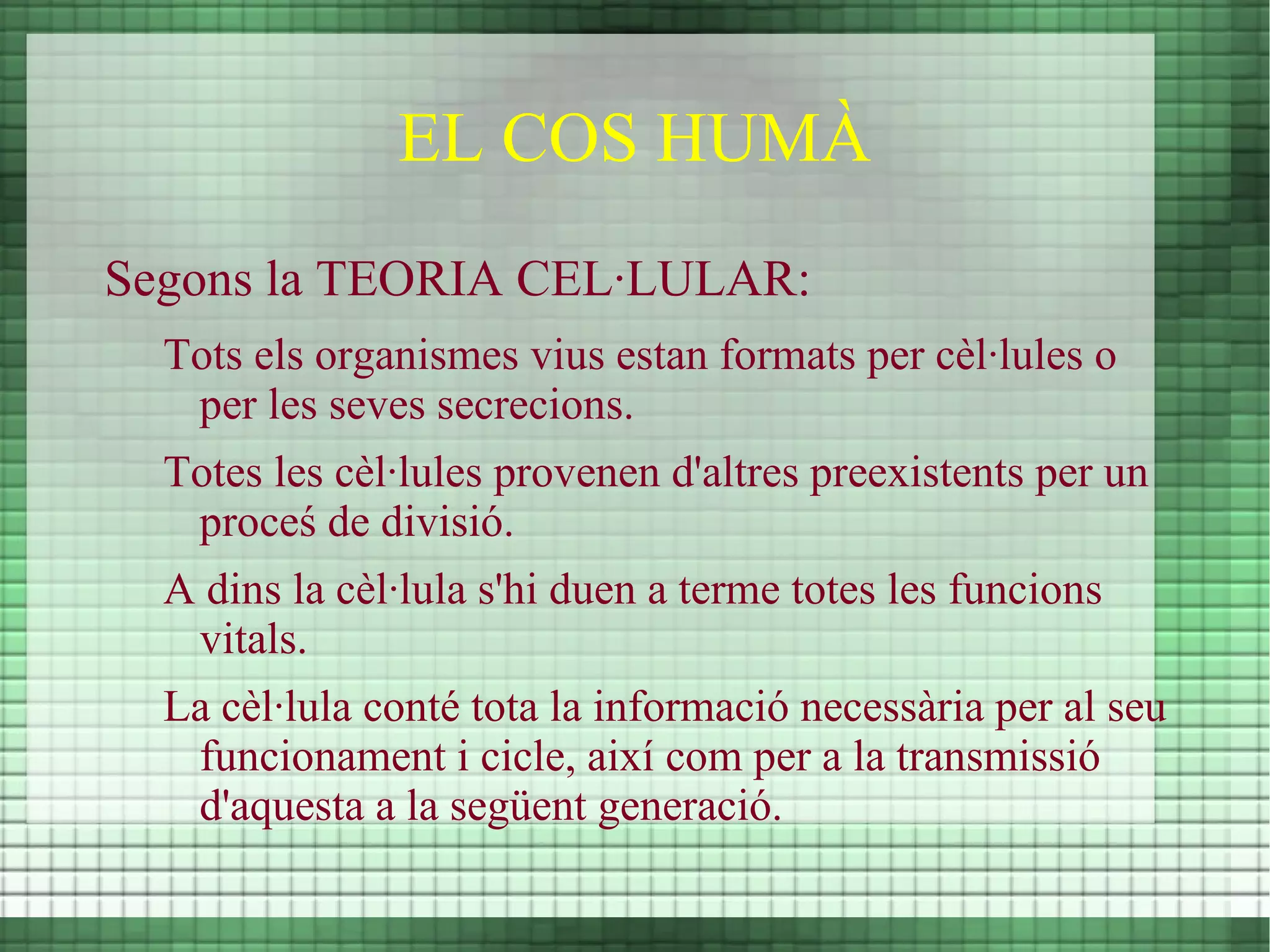 Cos Huma Teixits | ODP