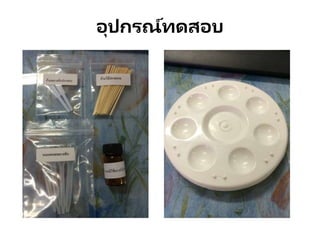 การใช้ชุดทดสอบเครื่องสำอาง (Cosmetic test kit) | PPTX