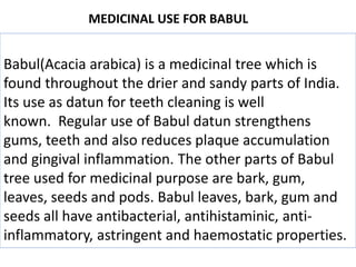 Cosmetic project | PPTX