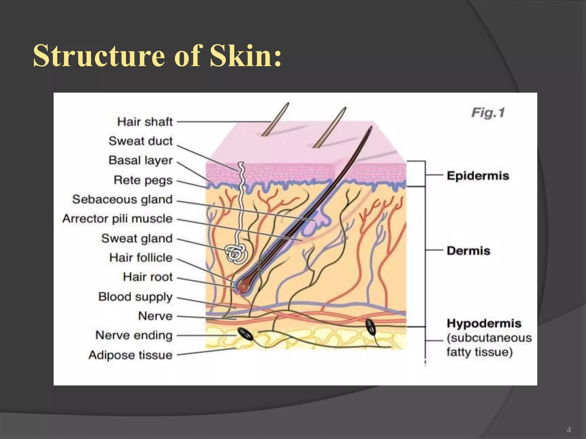 Cosmetics biological aspects | PPTX