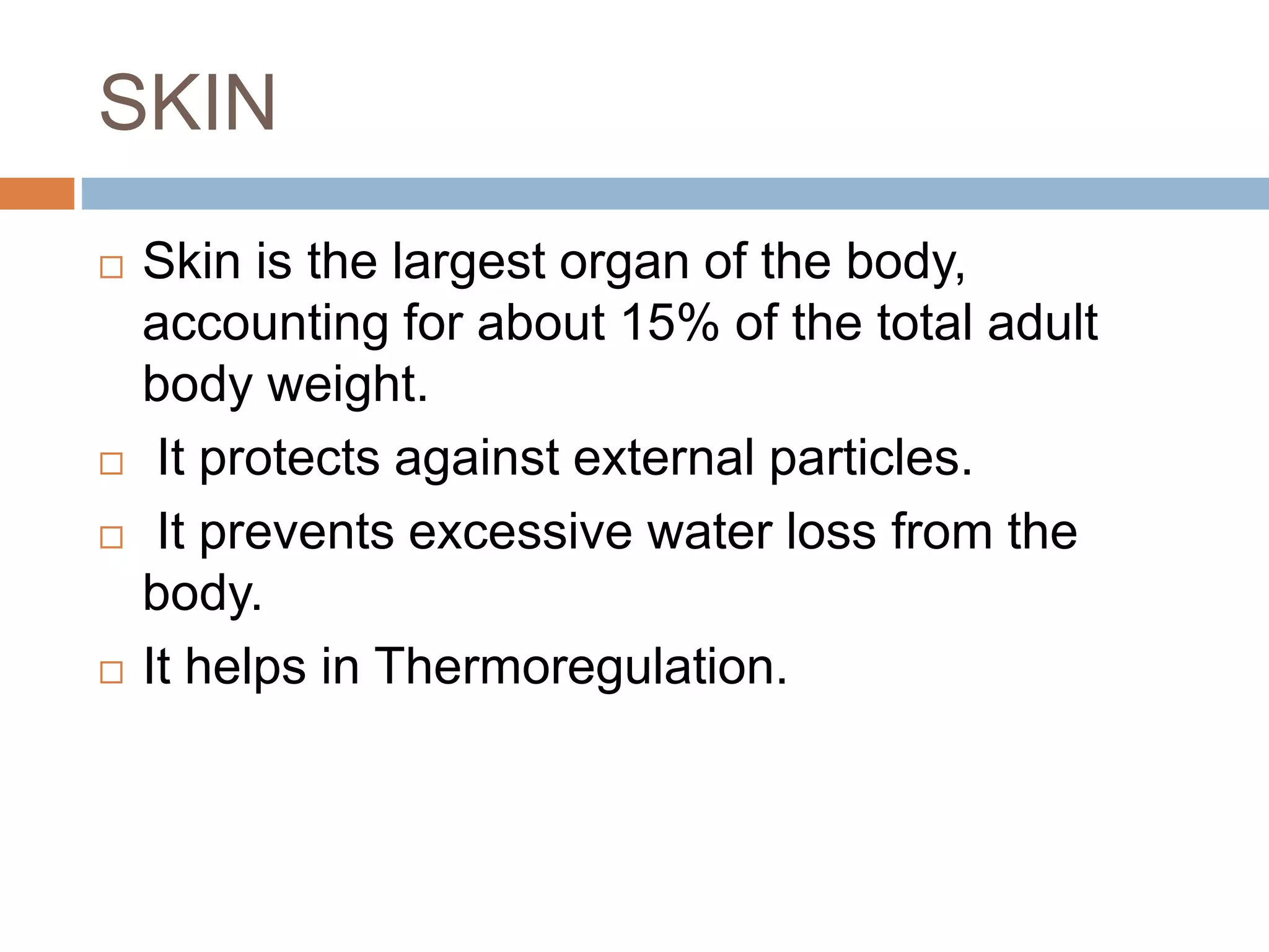 Cosmetics STRUCTURE OF SKIN and skin related problems like dry skin ...