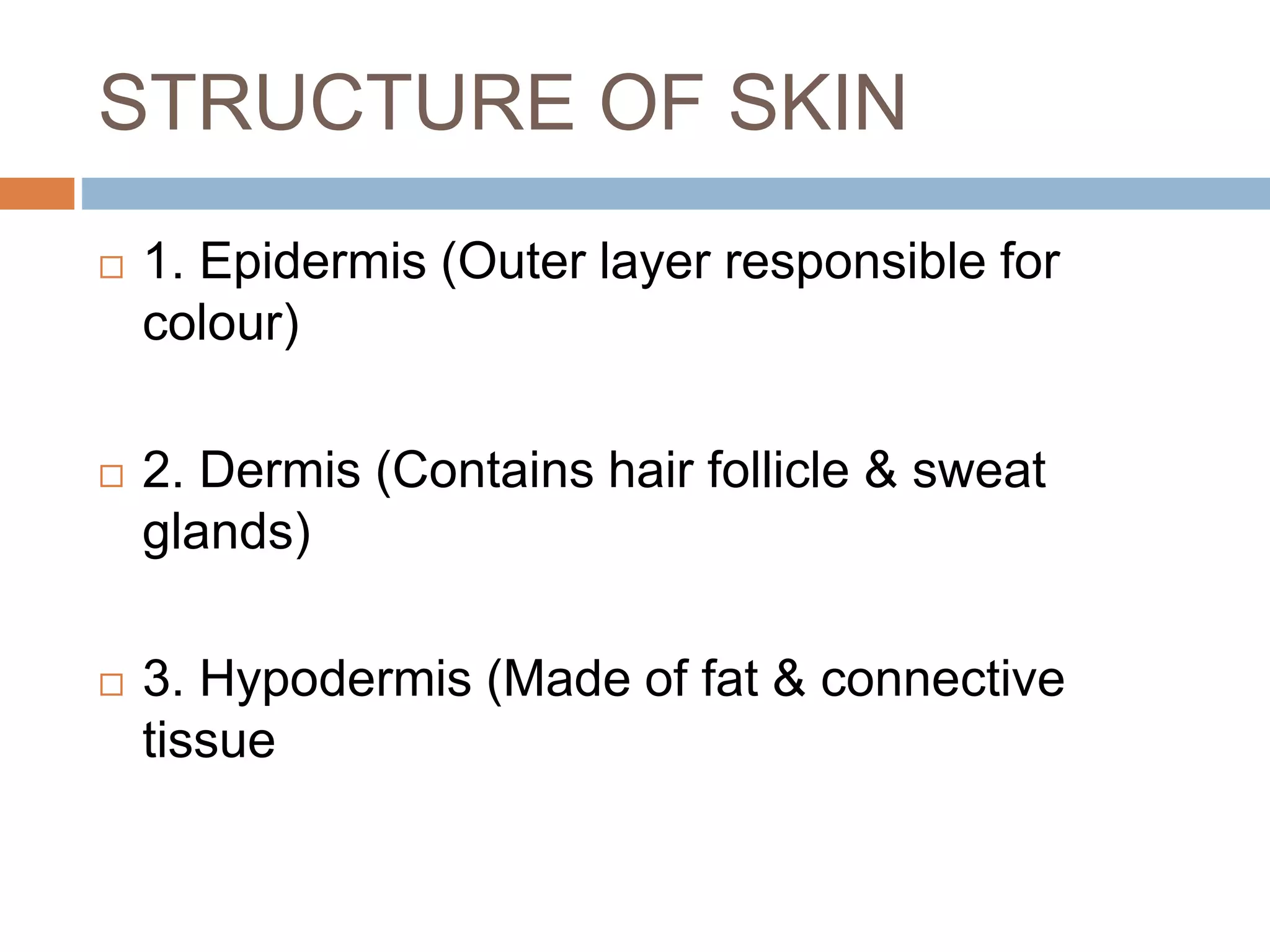 Cosmetics STRUCTURE OF SKIN and skin related problems like dry skin ...