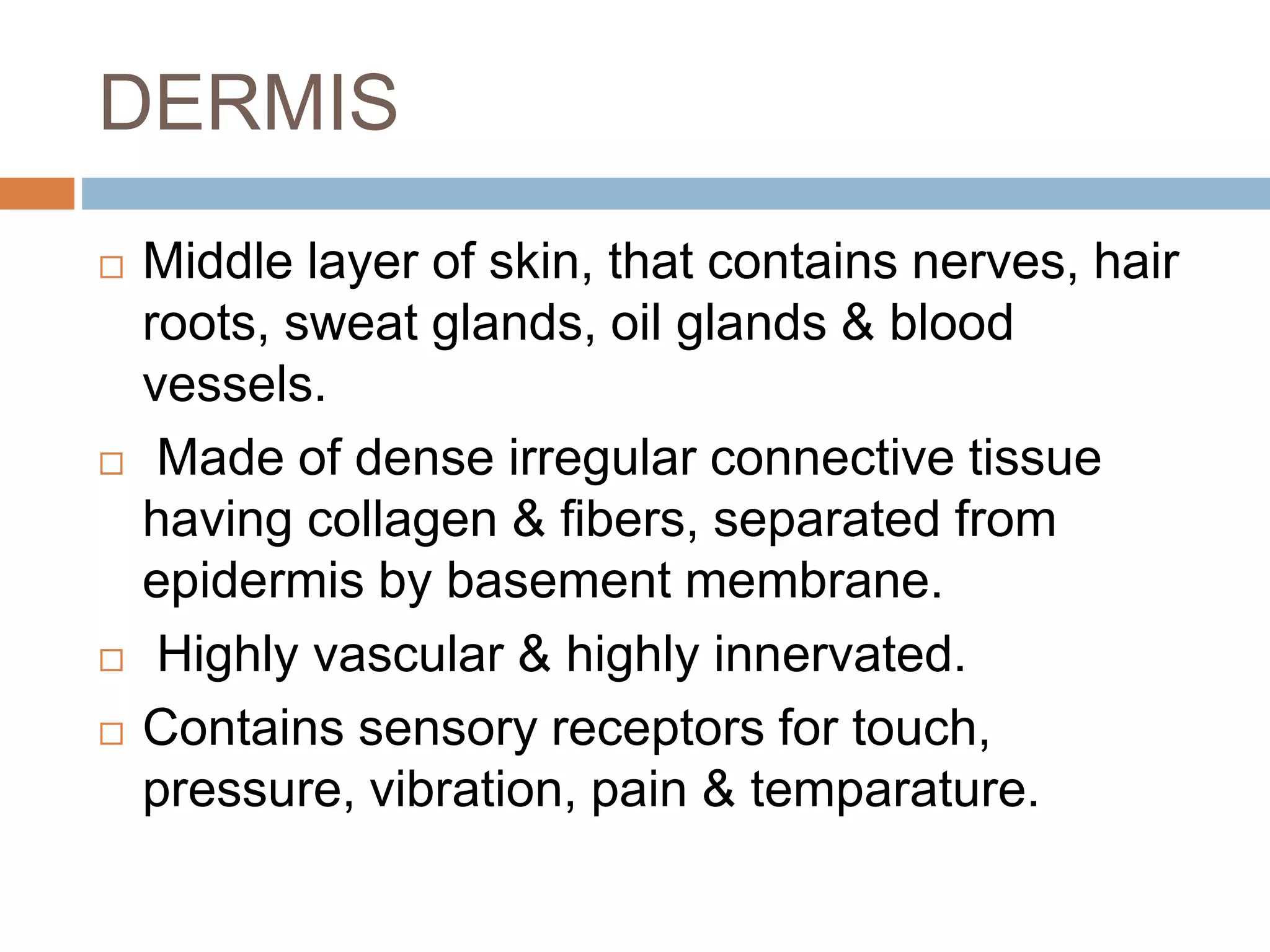 Cosmetics STRUCTURE OF SKIN and skin related problems like dry skin ...
