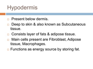 Cosmetics STRUCTURE OF SKIN and skin related problems like dry skin ...