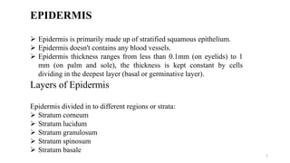 COSMETICS 1.pptx