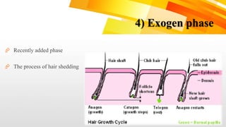 Cosmetics - biological aspects | PPTX