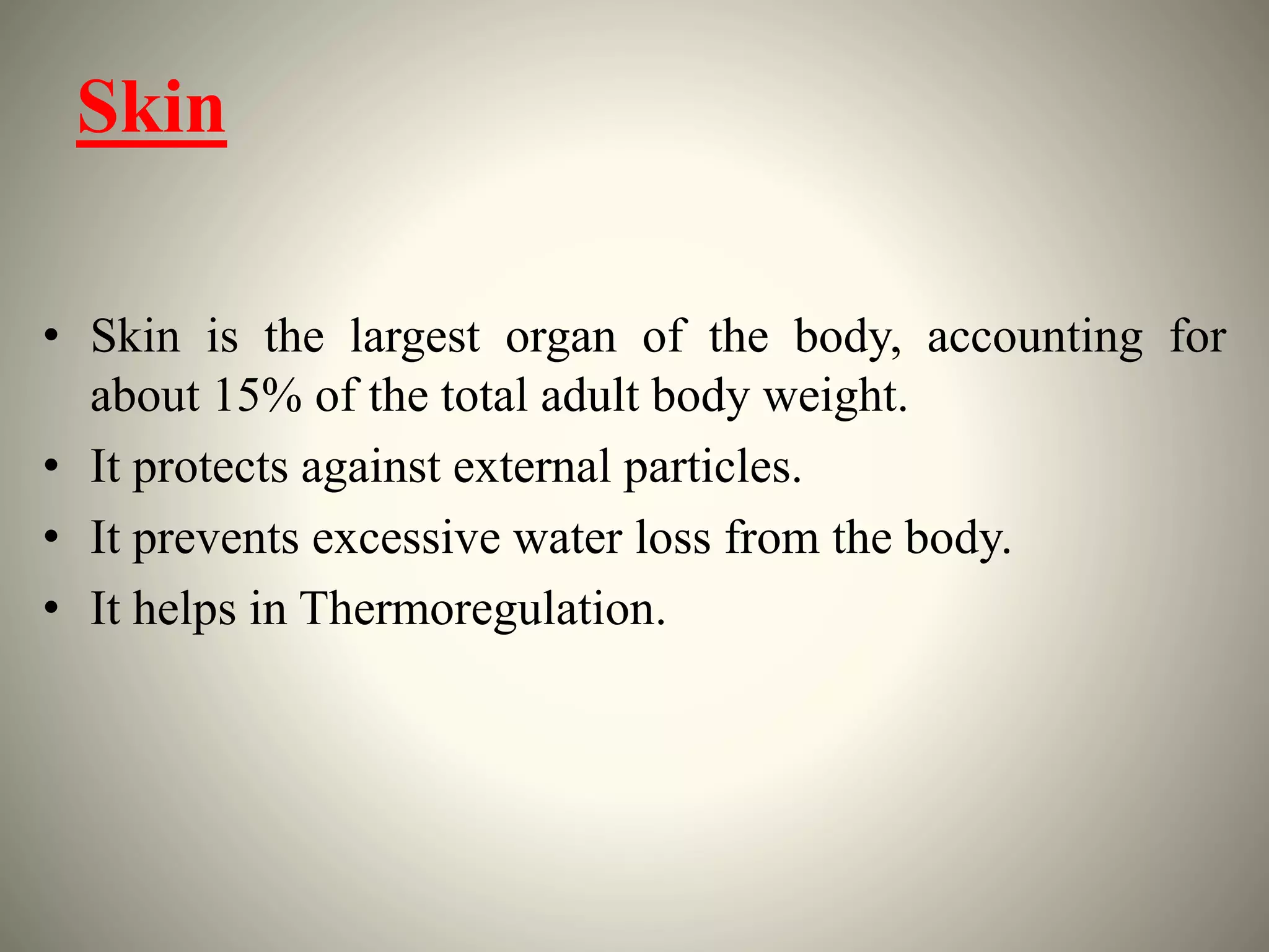 Structure of skin relating to problems like dry skin, acne vulgaris ...