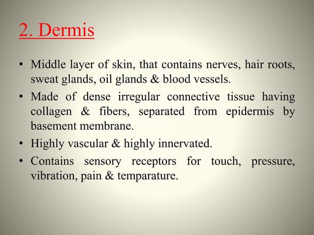 Structure of skin relating to problems like dry skin, acne vulgaris ...