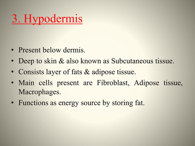 Structure of skin relating to problems like dry skin, acne vulgaris ...