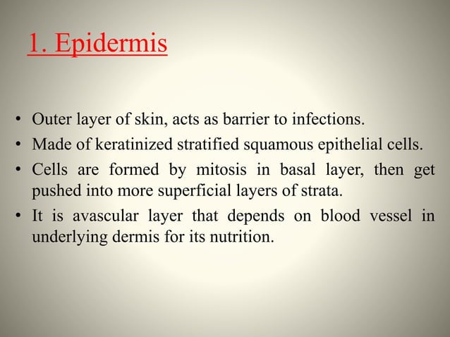 Structure of skin relating to problems like dry skin, acne vulgaris ...