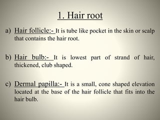Structure of skin relating to problems like dry skin, acne vulgaris ...