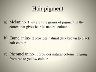 Structure of skin relating to problems like dry skin, acne vulgaris ...