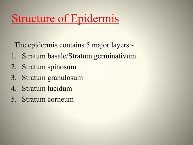 Structure of skin relating to problems like dry skin, acne vulgaris ...