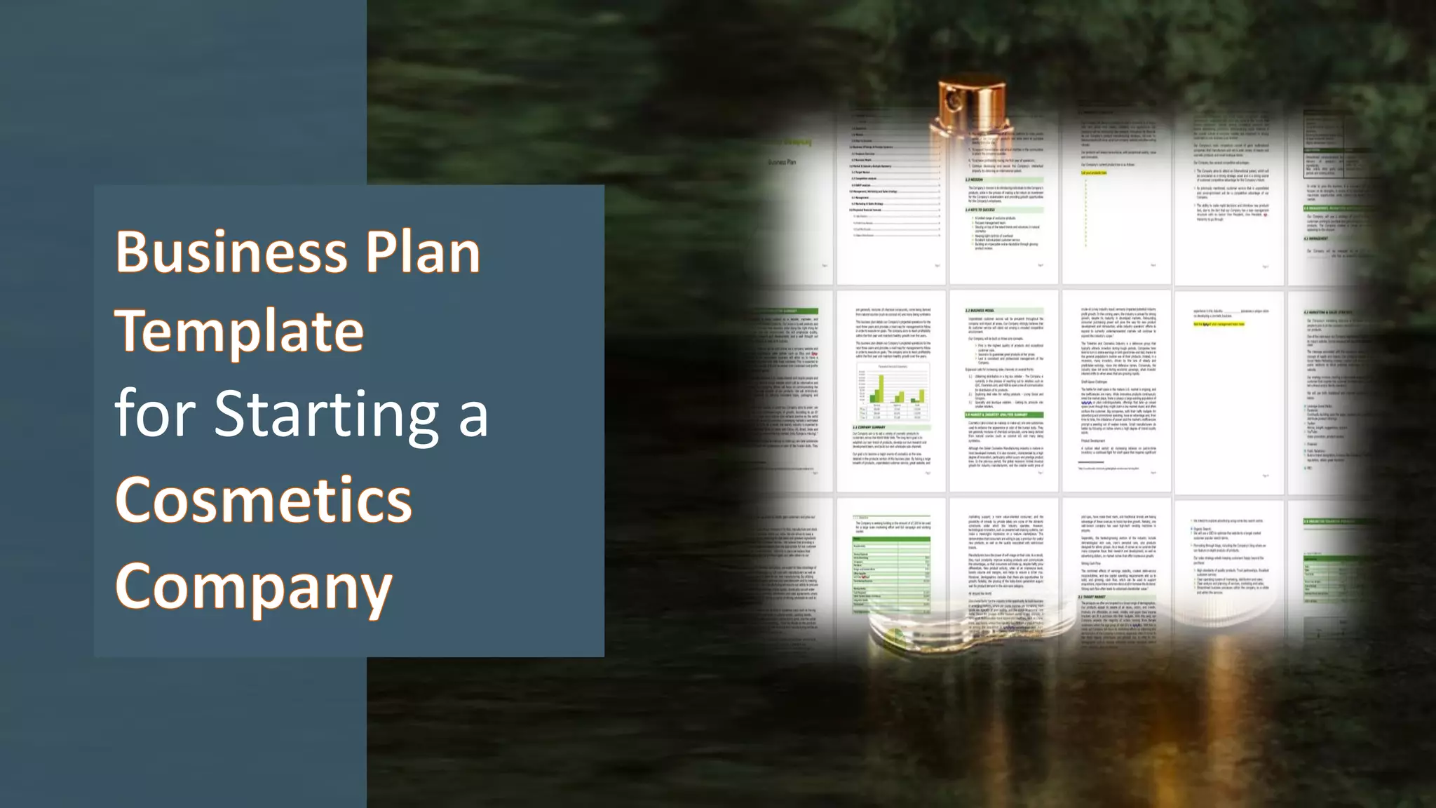 Cosmetics business plan | PDF