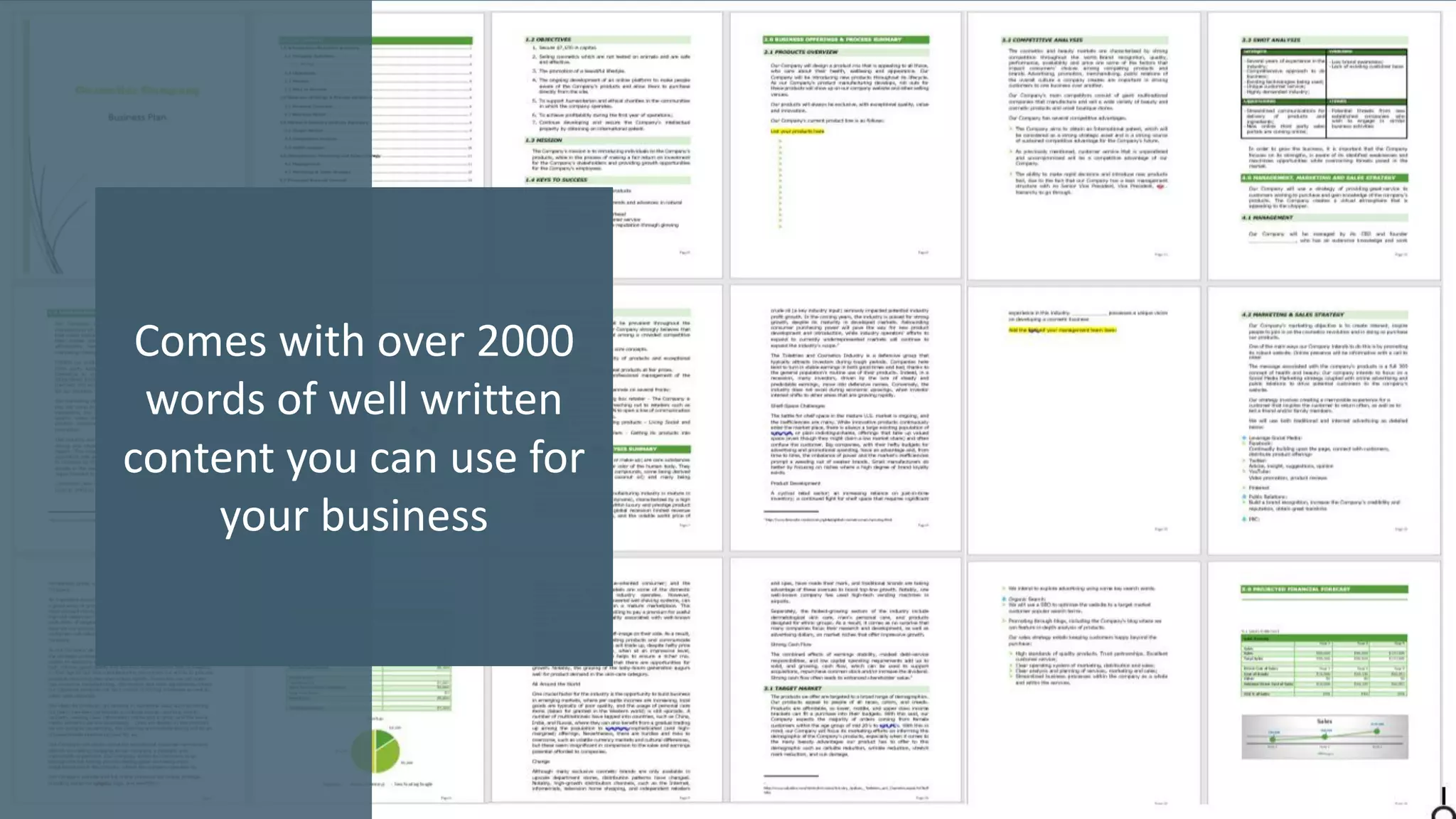 Cosmetics business plan | PDF