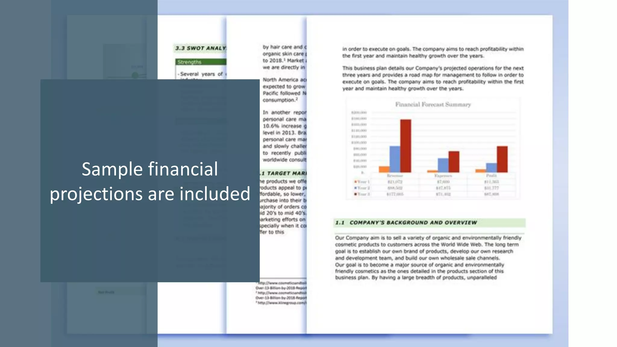 Cosmetics business plan | PDF