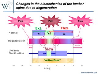 Cosmic dynamic stabilisation | PPT