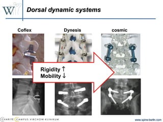 Cosmic dynamic stabilisation | PPT