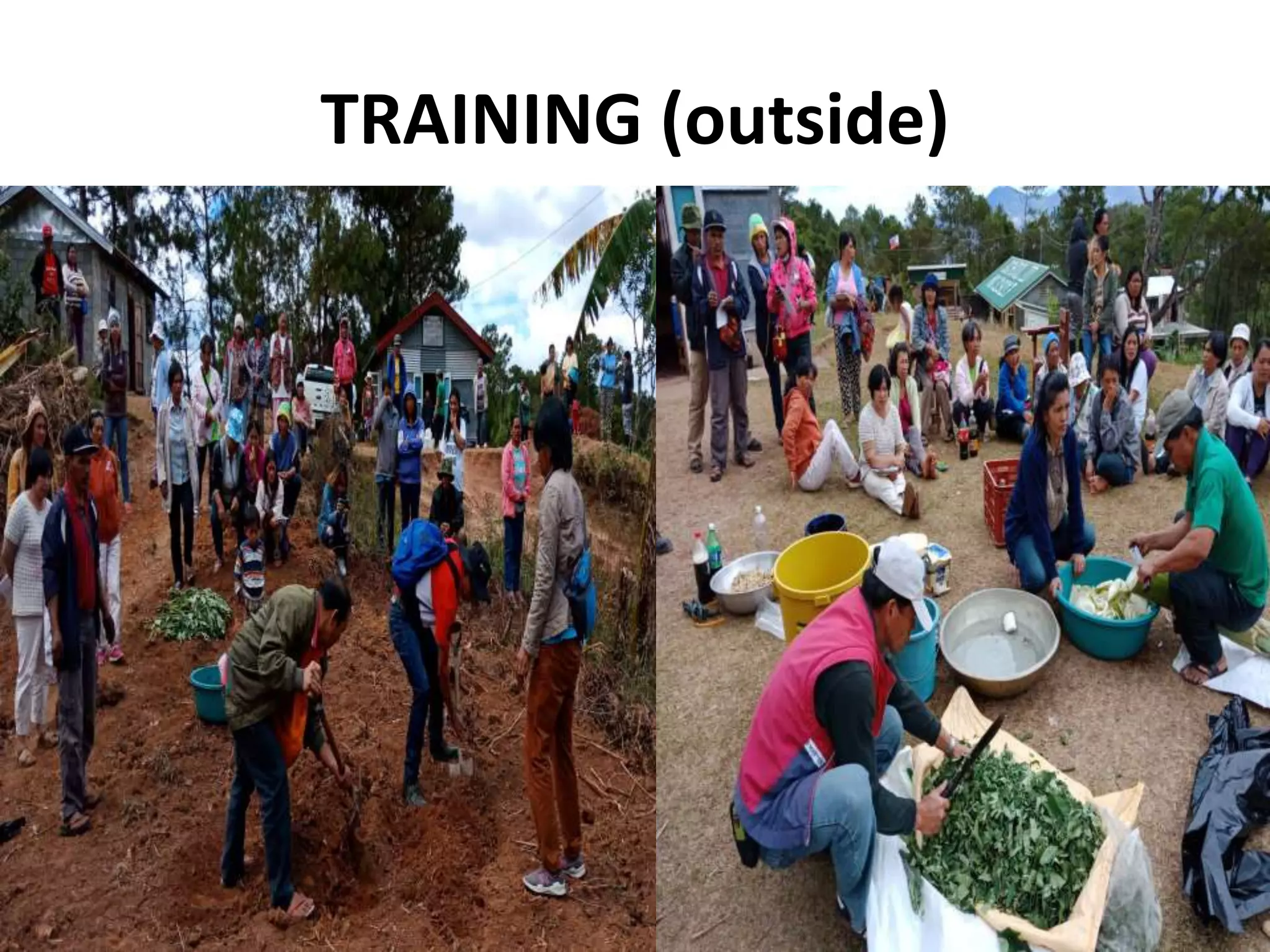 Cosmic farm Best Practices | PPTX | Agriculture | Industries