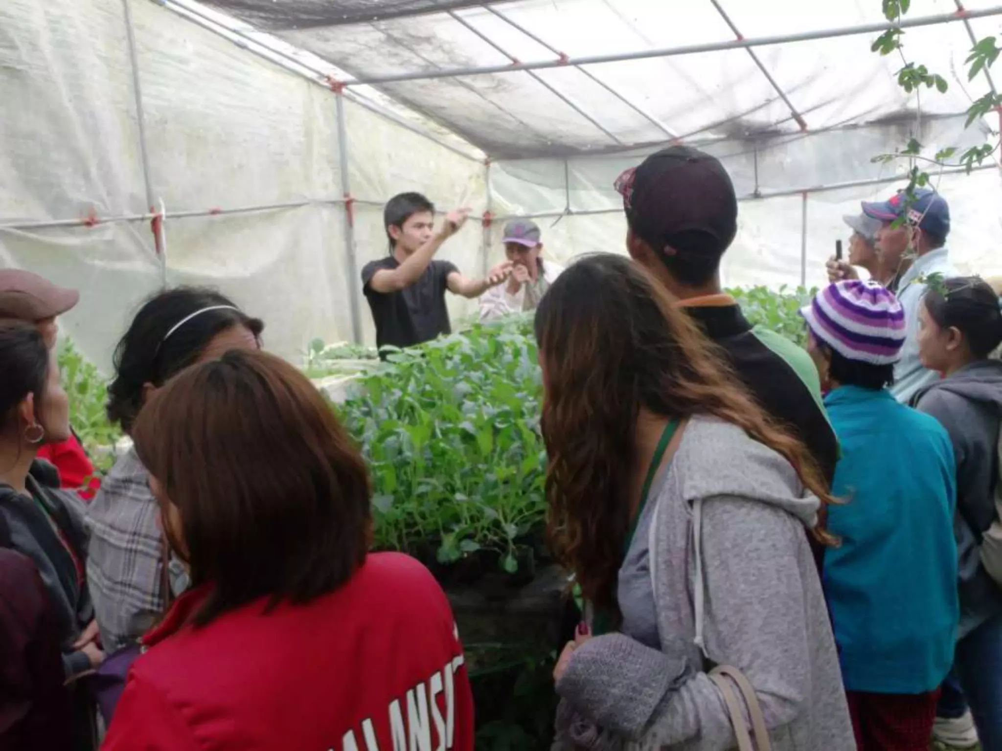 Cosmic farm Best Practices | PPTX | Agriculture | Industries