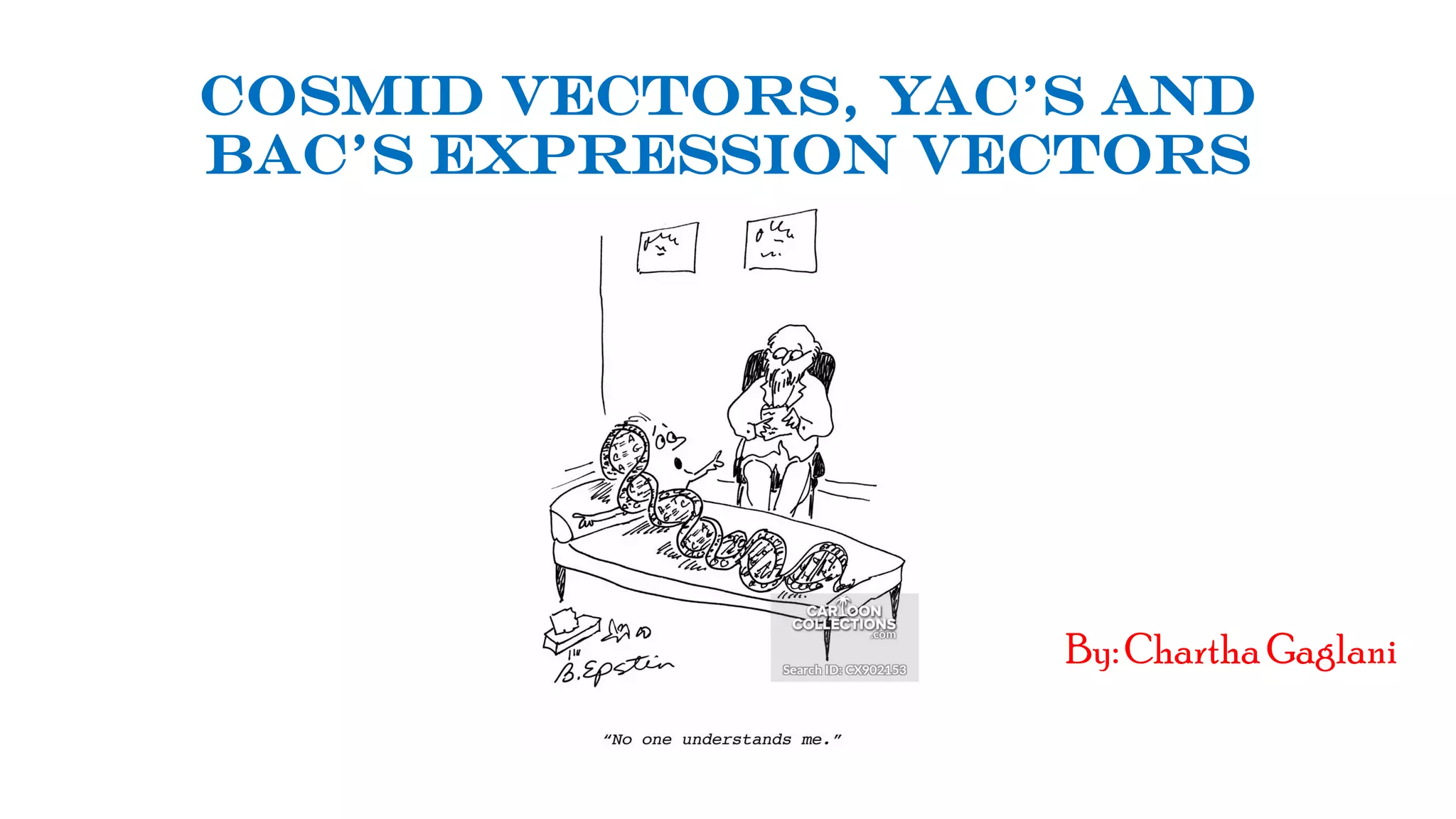 Cosmid Vectors, YAC and BAC Expression Vectors | PDF