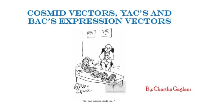 Cosmid Vectors, YAC and BAC Expression Vectors | PDF | Genetics | Science