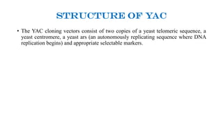 Cosmid Vectors, YAC and BAC Expression Vectors | PDF