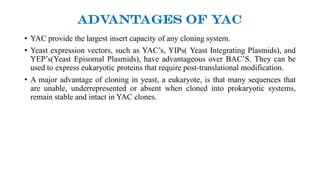 Cosmid Vectors, YAC and BAC Expression Vectors | PDF