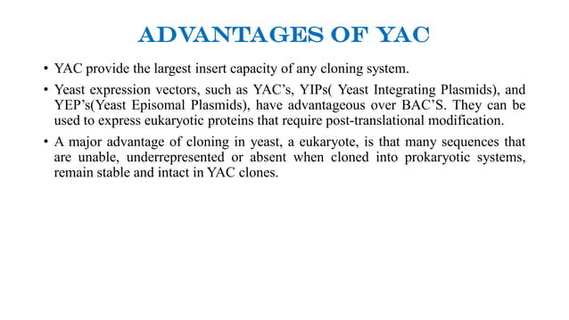 Cosmid Vectors, YAC and BAC Expression Vectors | PDF | Genetics | Science