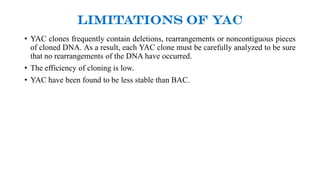Cosmid Vectors, YAC and BAC Expression Vectors | PDF