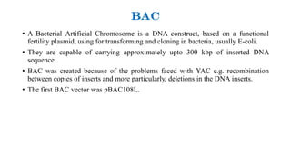 Cosmid Vectors, YAC and BAC Expression Vectors | PDF