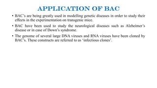 Cosmid Vectors, YAC and BAC Expression Vectors | PDF