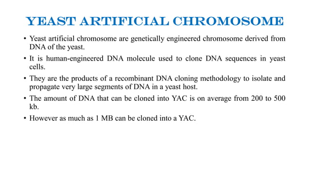 Cosmid Vectors, YAC and BAC Expression Vectors | PDF | Genetics | Science