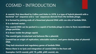 COSMID PHAGE.pptx