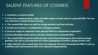 COSMID PHAGE.pptx