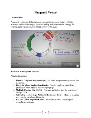 Cosmid & Phagemid Vectors for B.Sc. Biotechnology & Botany Students | PDF