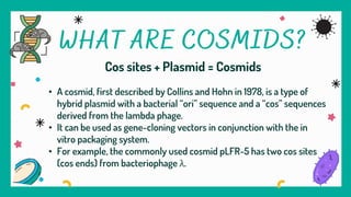 Cosmids.pptx