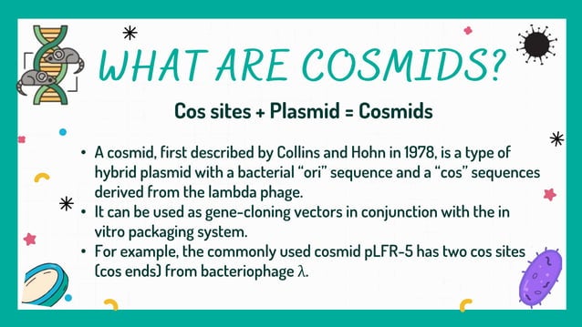 Cosmids.pptx