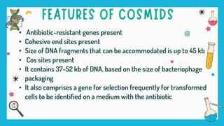 Cosmids.pptx