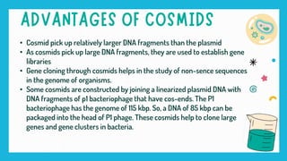 Cosmids.pptx