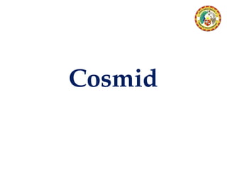 Cosmids cloning vector, types of ve.pptx