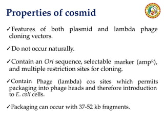 Cosmids cloning vector, types of ve.pptx