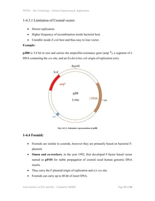Cosmids pagemids | PDF