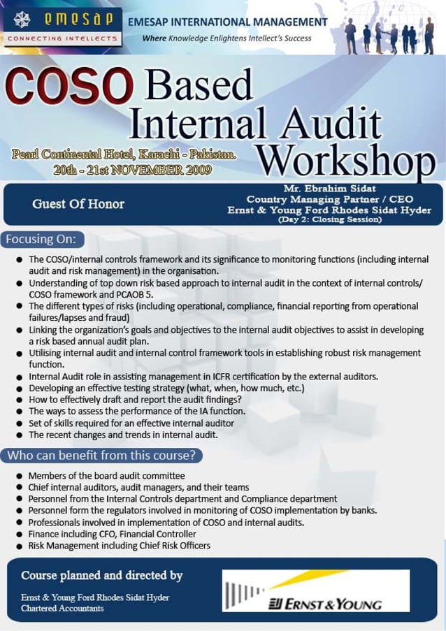 Coso Based Internal Audit Controls | PDF