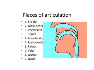Cosonants 1 lecture 3 | PPT