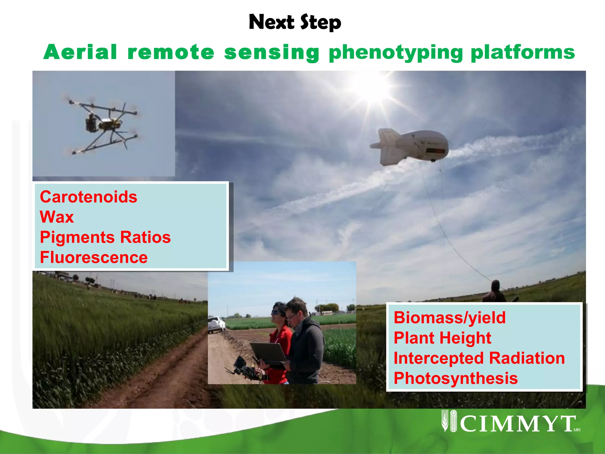 Approaches and needs of remote sensing in phenotyping for plant breeding | PPT