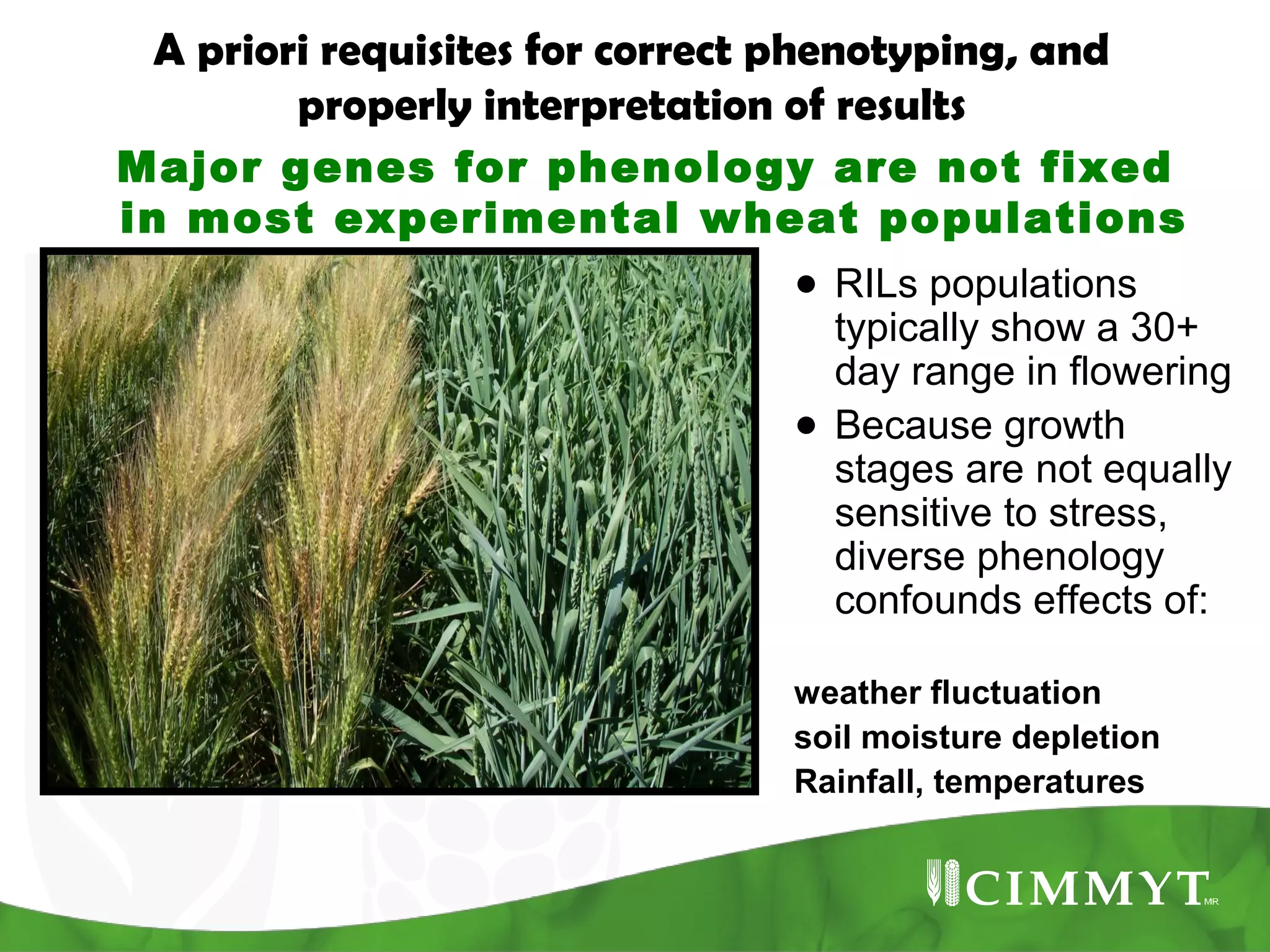 Approaches and needs of remote sensing in phenotyping for plant breeding | PPT