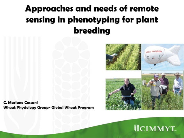 Approaches and needs of remote sensing in phenotyping for plant breeding | PPT