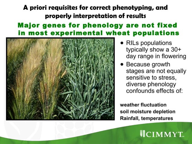 Approaches and needs of remote sensing in phenotyping for plant ...