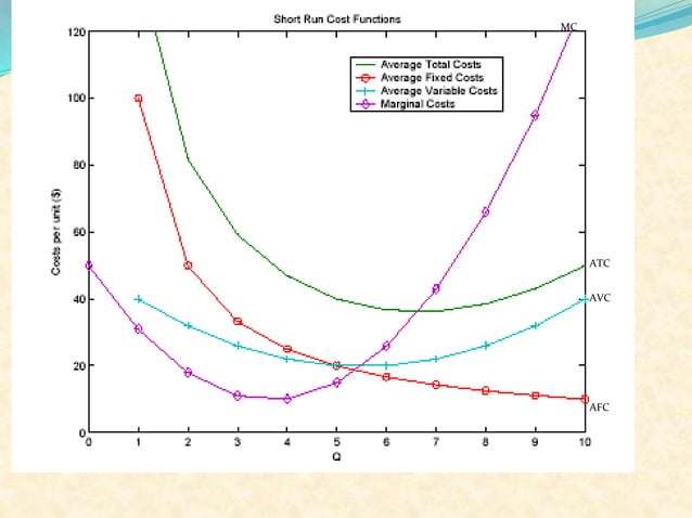 Cost Output Relationship Pptx
